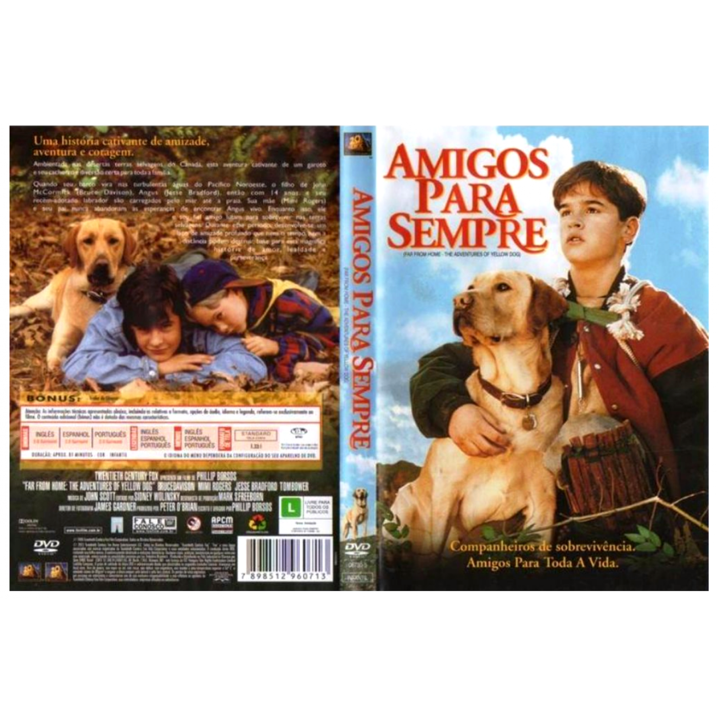 AMIGOS PARA SEMPRE - DVD